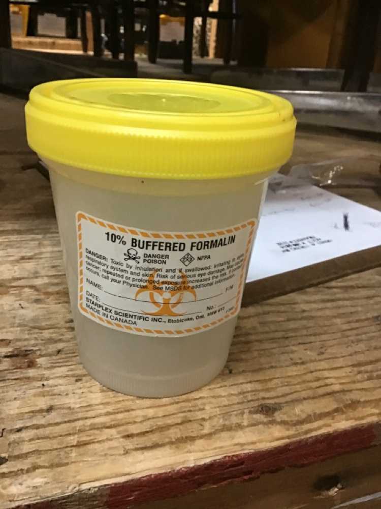 Frosted Yellow Plastic Biohazard