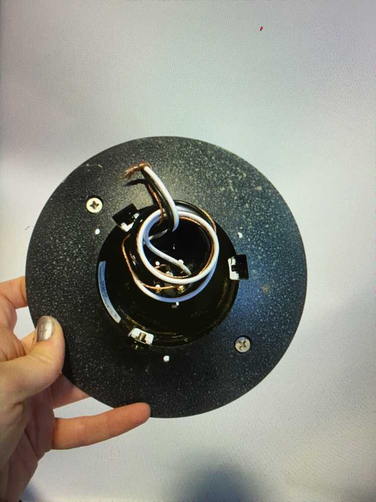 Globe Light Fixture/Socket