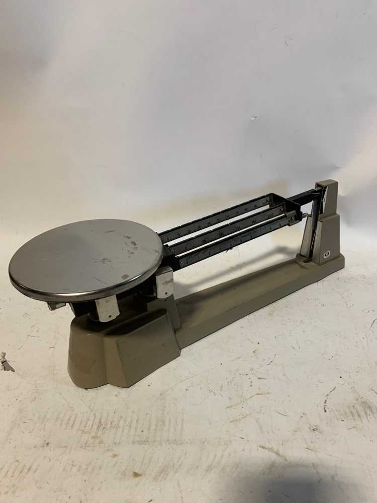 Hospital Scale